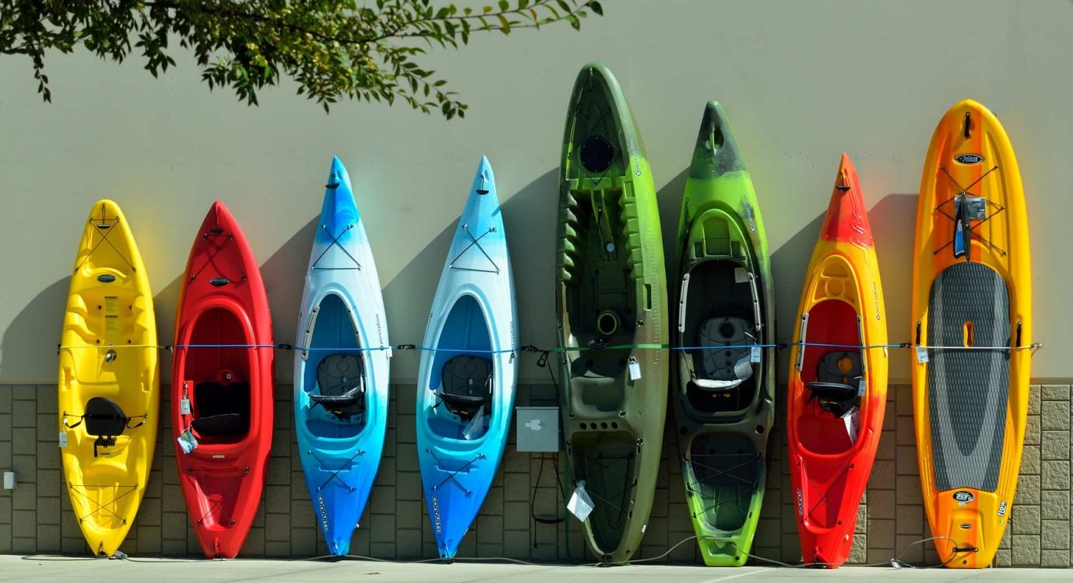 5 Different Types of Kayaks You Should Know About: Which One is Right ...